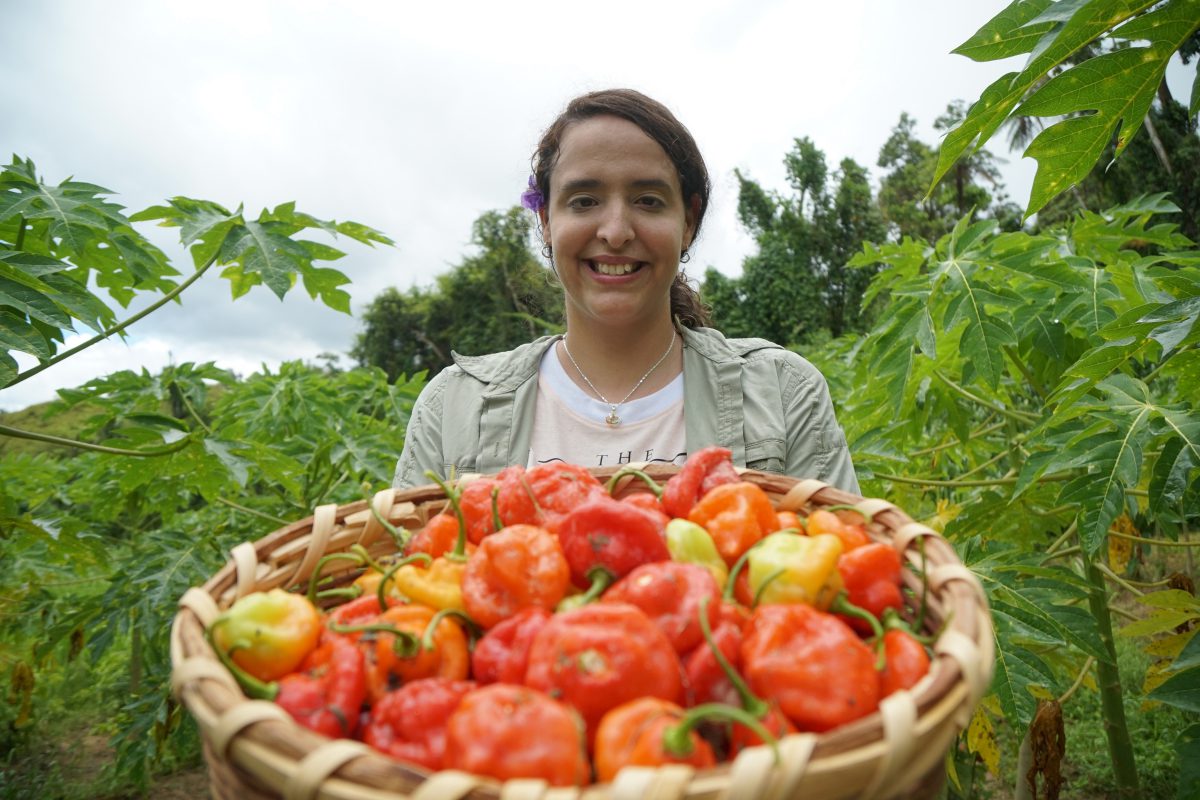 UPR Utuado – Universidad de Puerto Rico